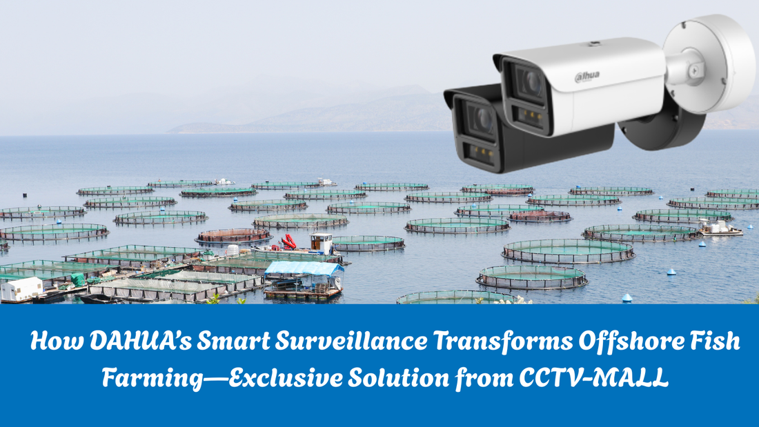 How DAHUA’s Smart Surveillance Transforms Offshore Fish Farming—Exclus